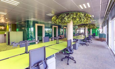 Oficinas de Grupo Solitium - Canal Contract Aragon