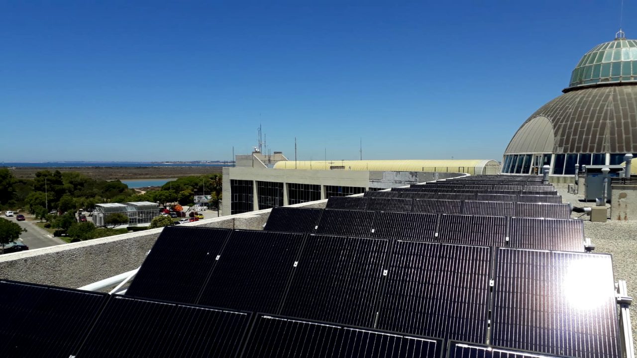 University of Cádiz - Canal Contract Aragon